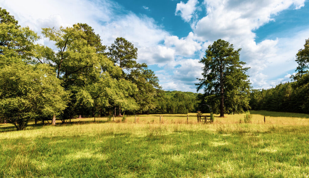 Shadow Creek Estates - Loyd Builders